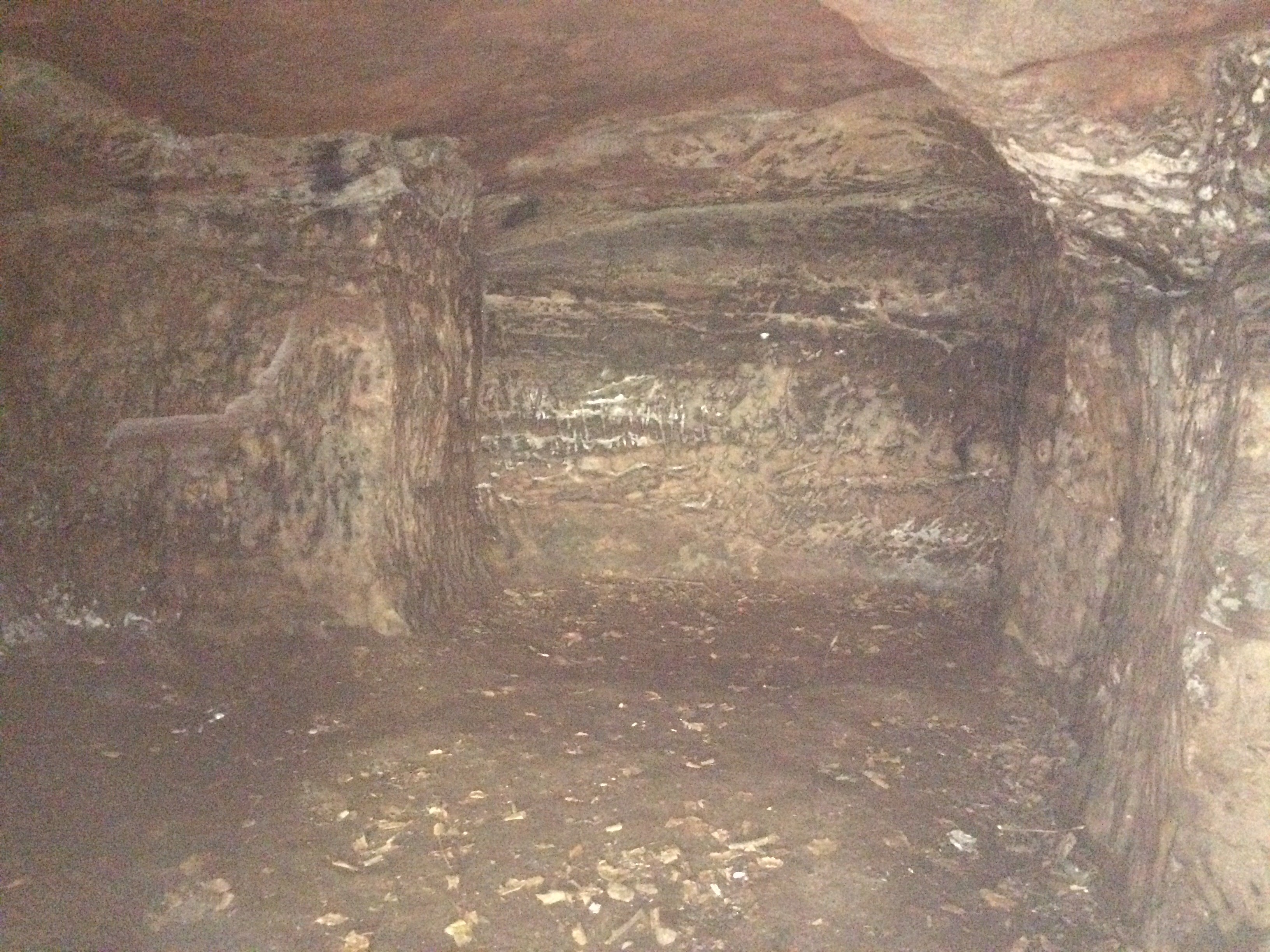 Wallace’s Cave – Rediscovering Scotland